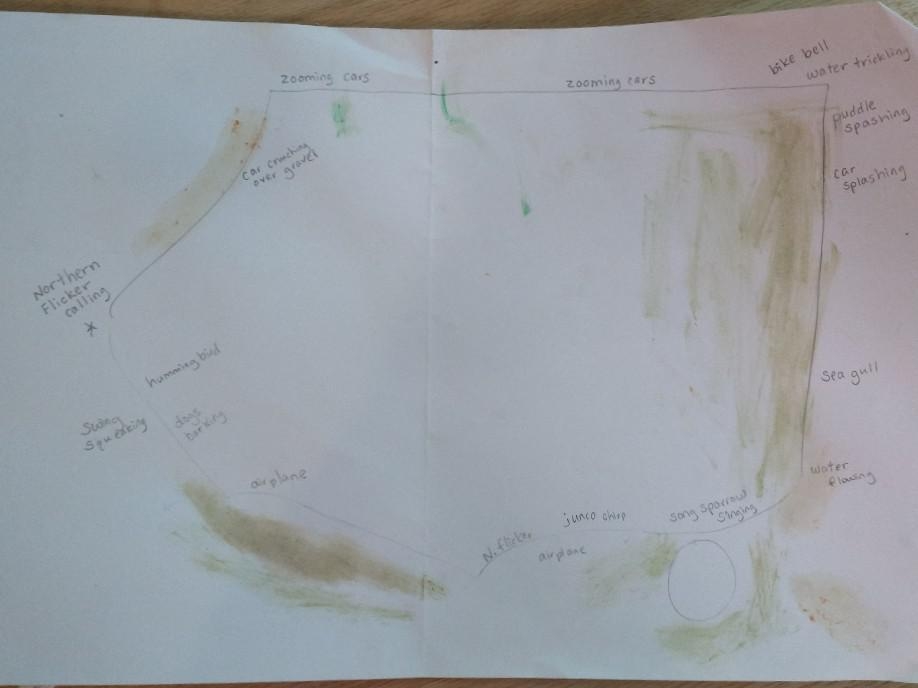 Nature Notebook Samples - Sabbath Mood Homeschool