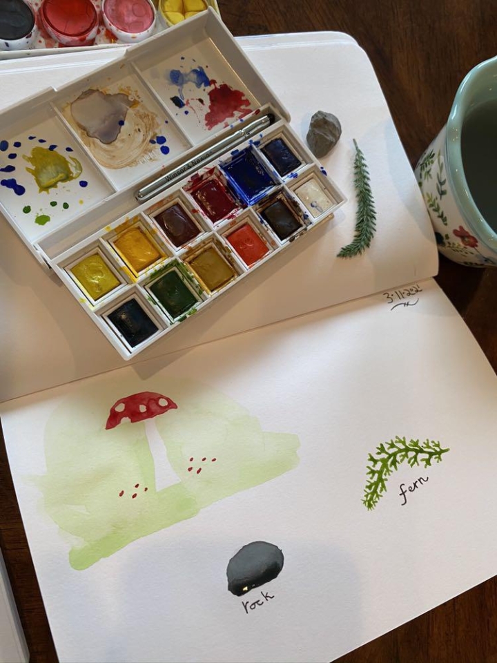 Nature Notebook Samples - Sabbath Mood Homeschool