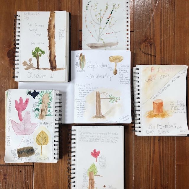 Nature Notebook Samples - Sabbath Mood Homeschool