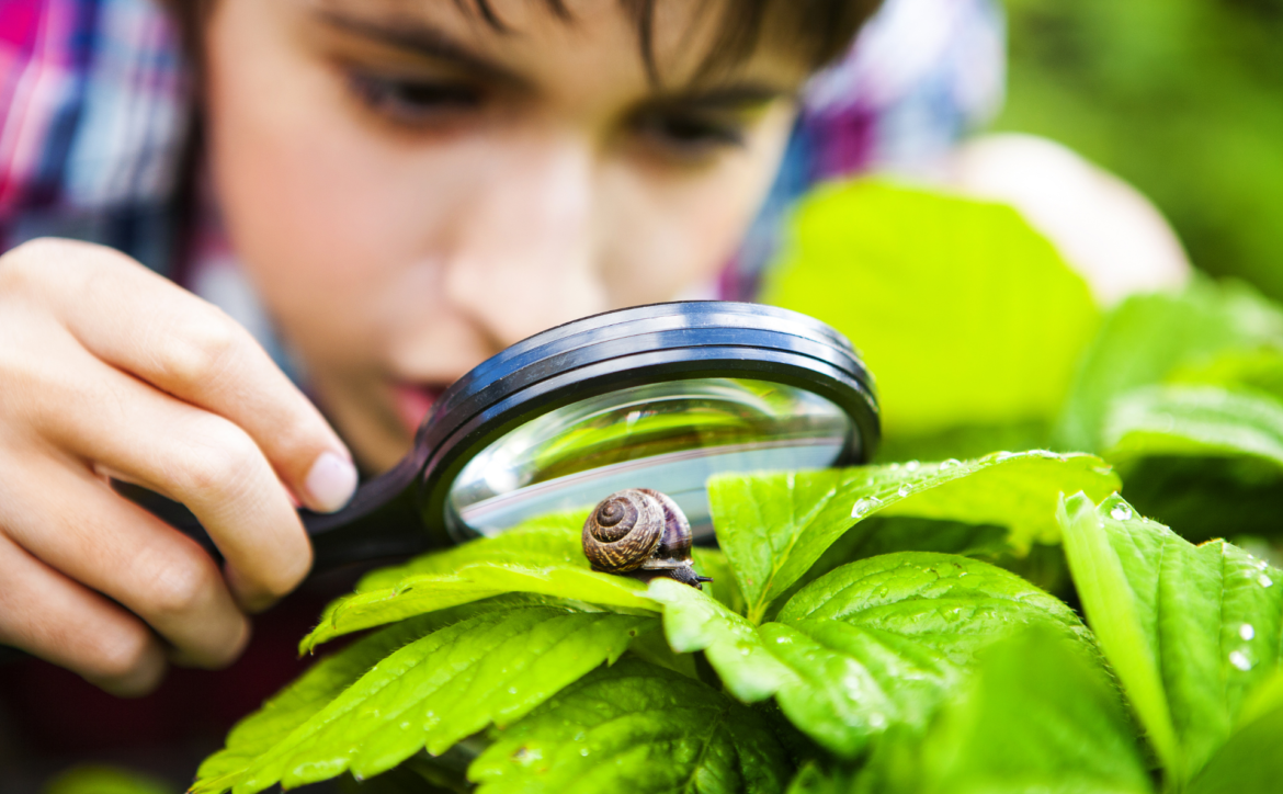 Nature Study: Special Studies - Sabbath Mood Homeschool