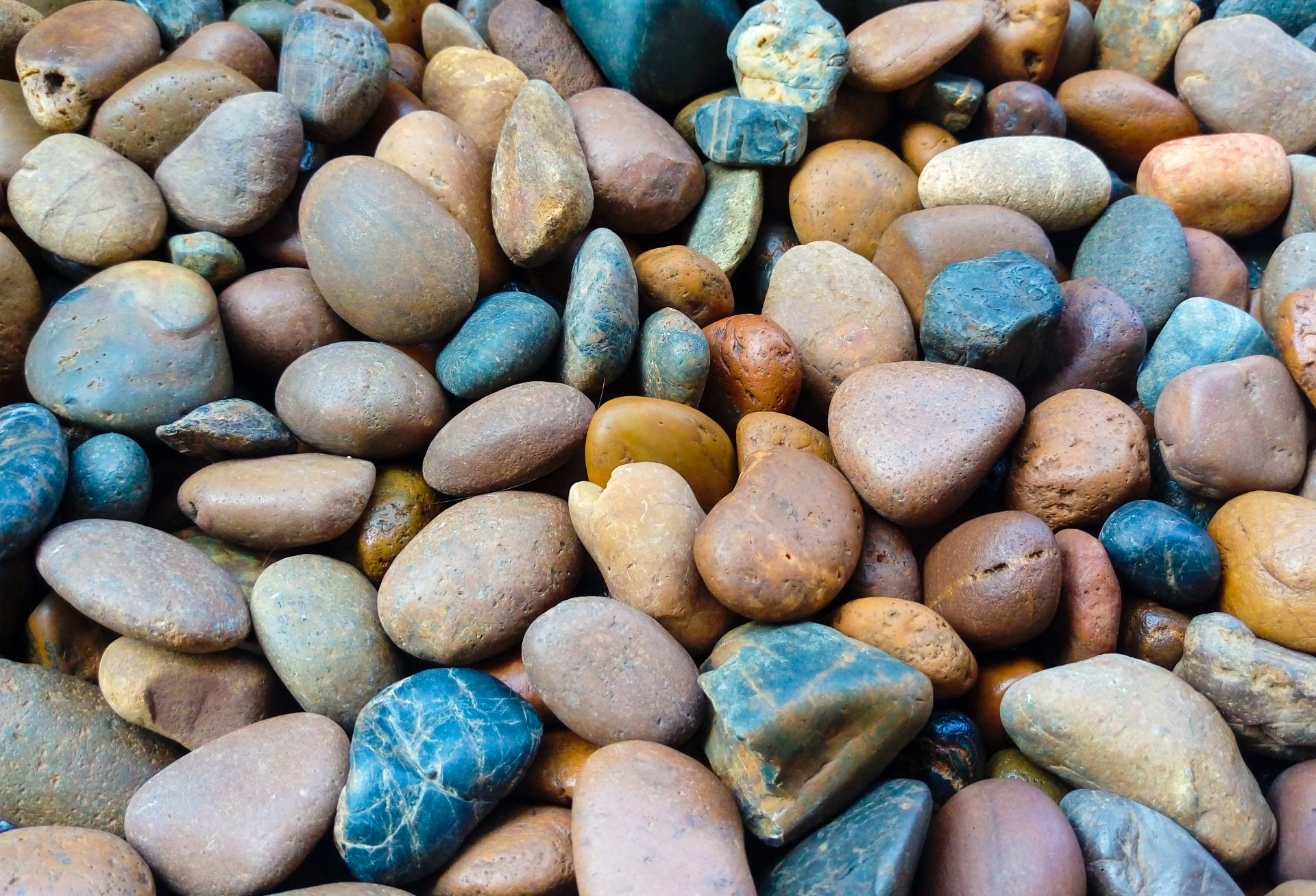 Special Study - Rocks - Sabbath Mood Homeschool