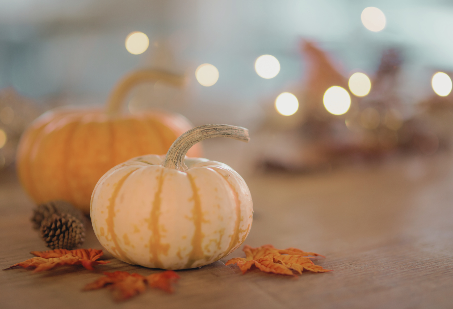A Thanksgiving Tree - Sabbath Mood Homeschool