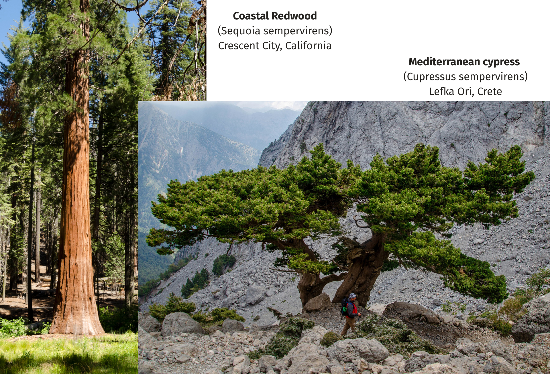 All Nature Is of a Kind - Sabbath Mood Homeschool