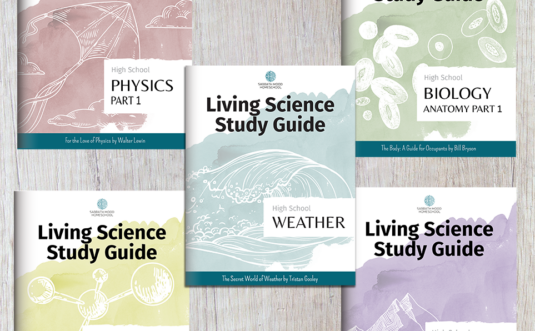 High School Bundle - Sabbath Mood Homeschool