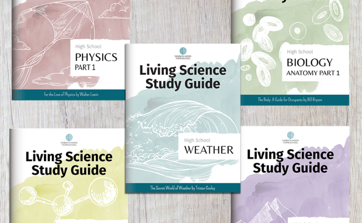 High School Bundle - Sabbath Mood Homeschool